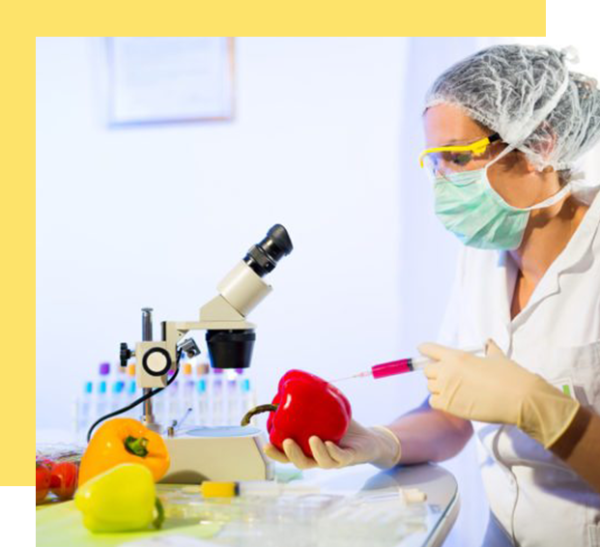 Food Technology - Indira Gandhi College of Arts and Science - Step To ...